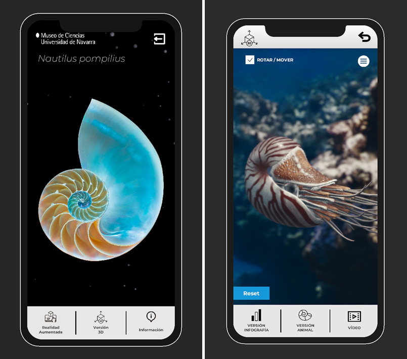 Scientific activities. Science Museum. University of Navarra